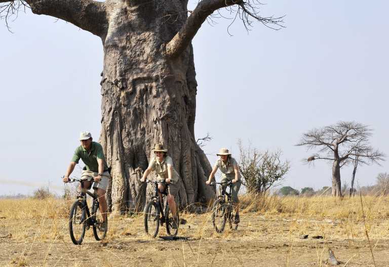 Tafika Camp | South Luangwa Nationalpark Zambia - Sambia | Outback ...